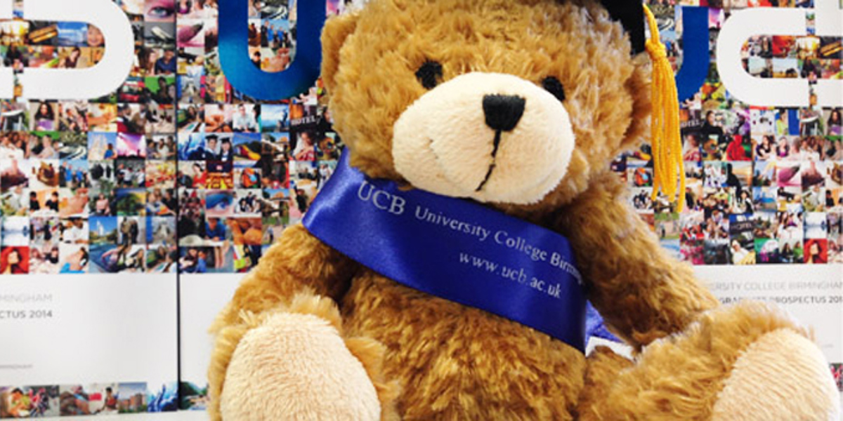 Your chance to name the UCB bear