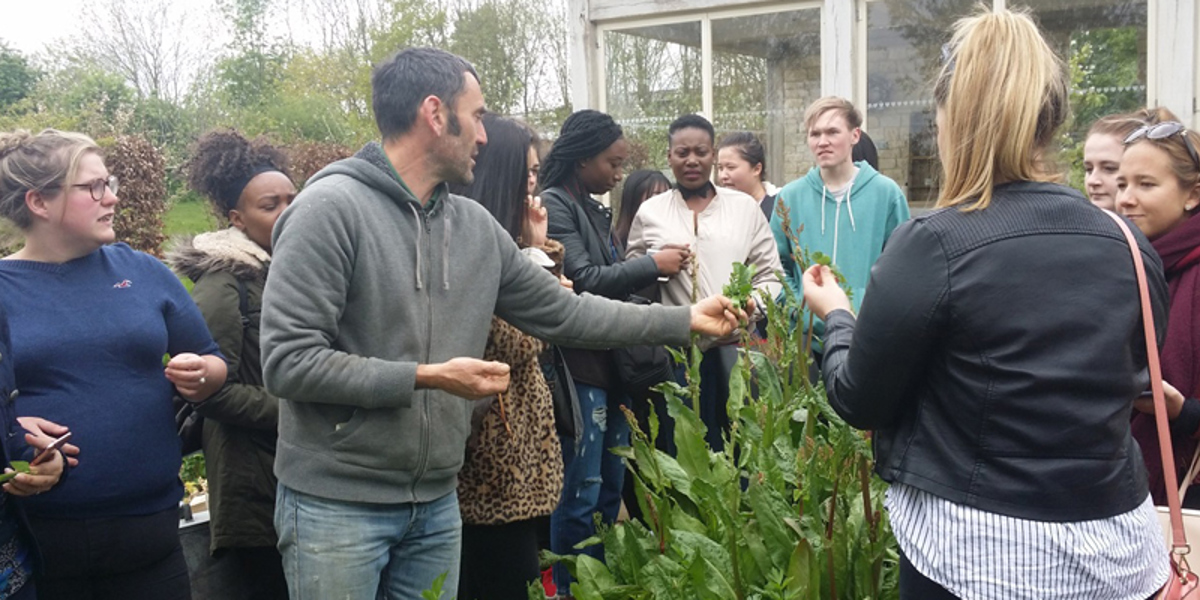 From Field to Fork – UCB's Visit to Daylesford Organic Farm